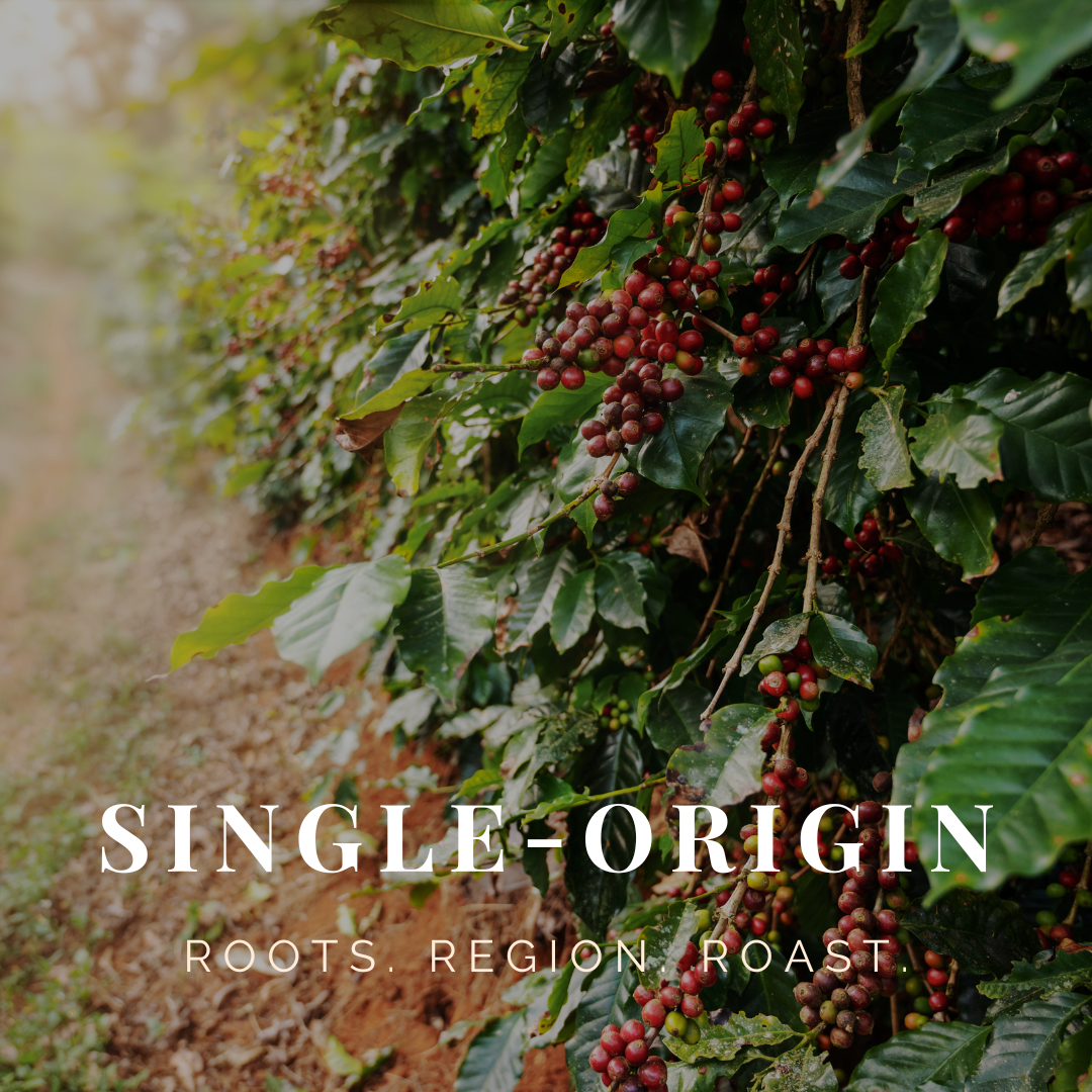 East Africa – Mississippi Mud Coffee