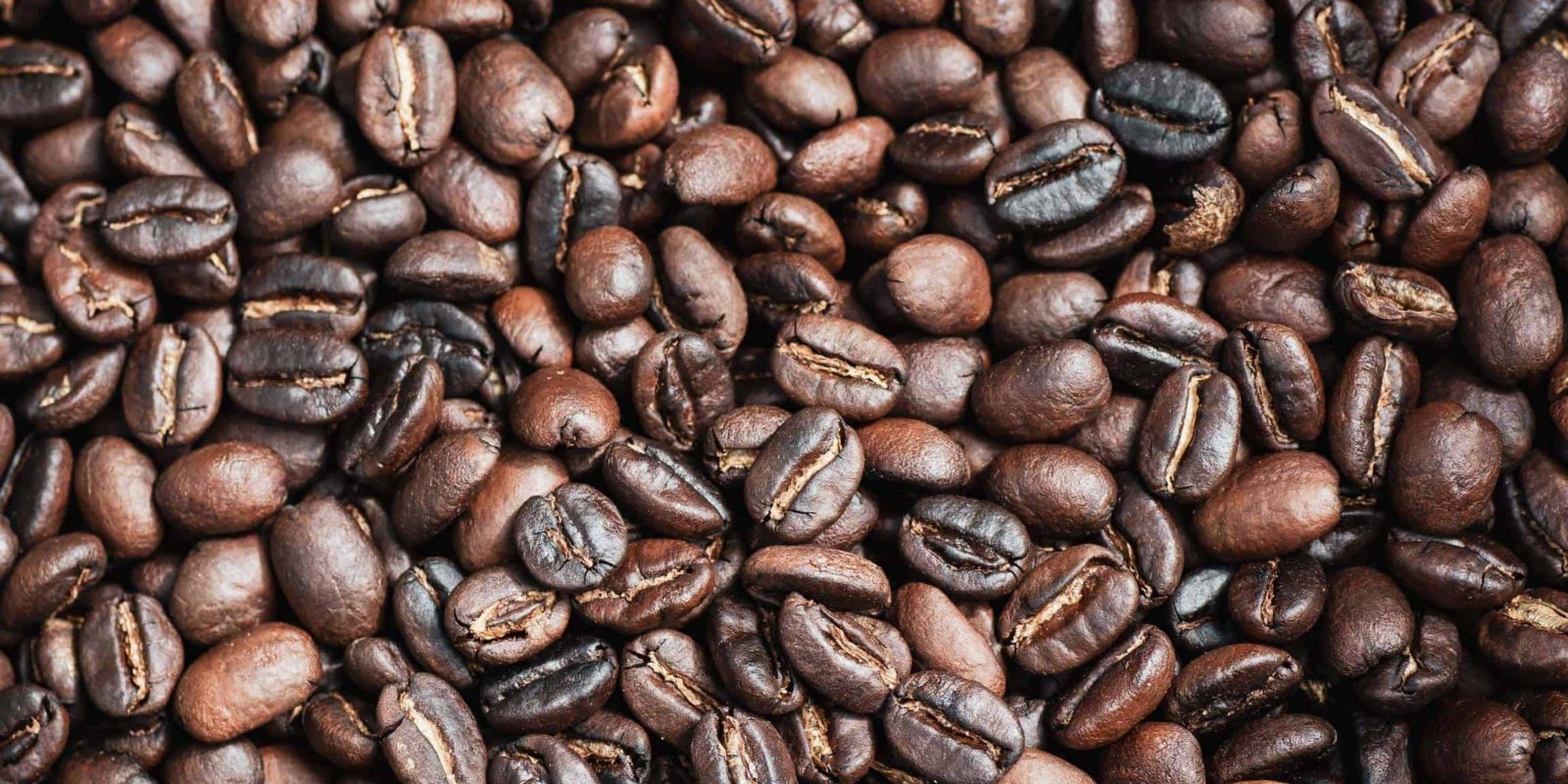 Mississippi Mud Coffee - Premium Whole Bean Coffee and Coffee Pods